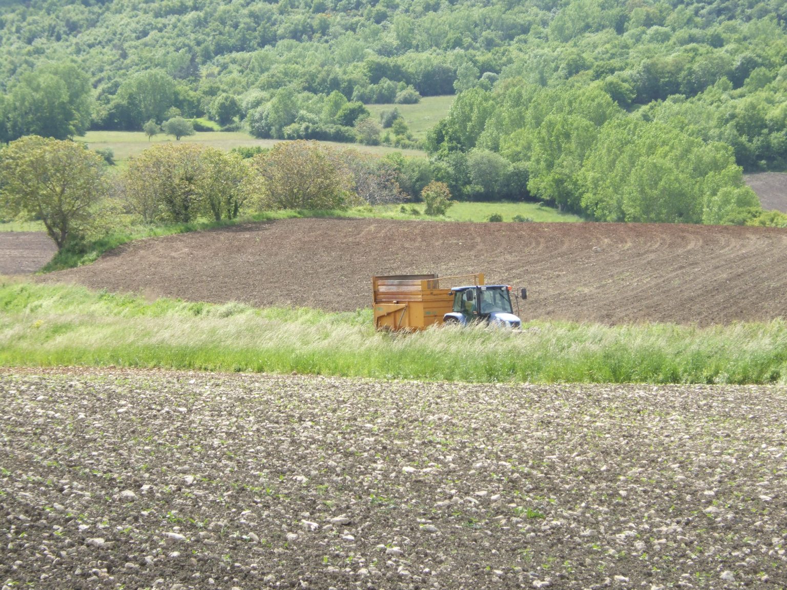 Thierry VALLEIX et Jean-François VIAN - Experts Fonciers et Agricoles